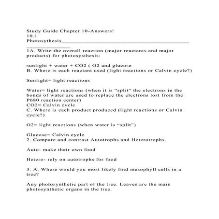 Study Guide Chapter 10-Answers!10.1 Photosythesis_______________.docx ...