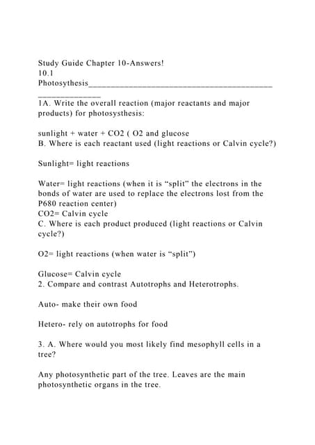Photosynthesis_Light_Reactions_Calvin_Cycle.pptx
