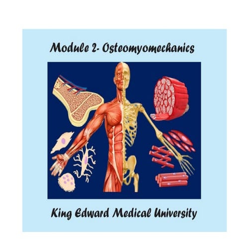 Study Guide Module 2 - Osteomyomechanics.pdf