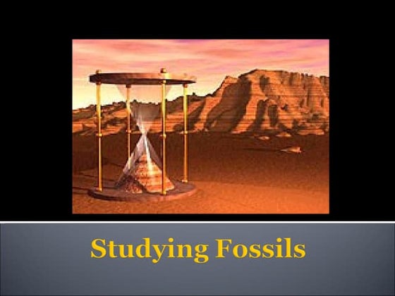 Fossils | PPT | Geology | Science
