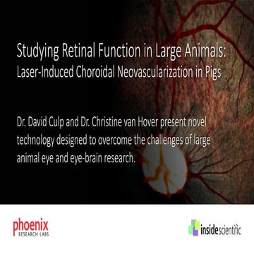 Studying Retinal Function in Large Animals: Laser-Induced Choroidal ...