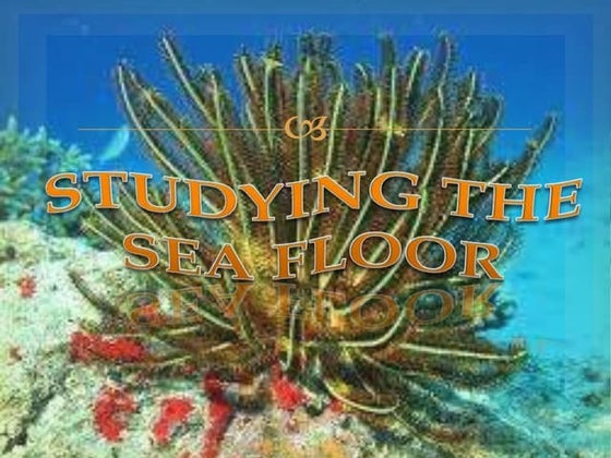 MAPEH arts lesson plan for grade 1-2 | DOCX | Homework and Study ...