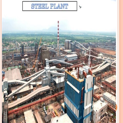 Study in Risk Management of Steel Plant Projects | PPT