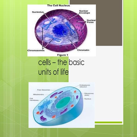 Study of a cell | PPTX