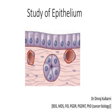 study of epithelium.pptx