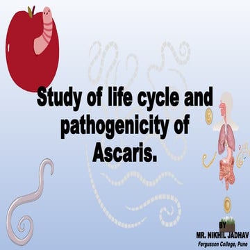 Study of life cycle and pathogenicity of Ascaris..pptx