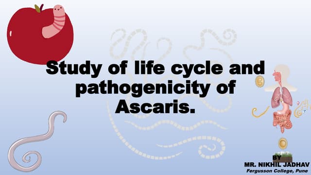 Ascariasis- Roundworm Infection | PDF