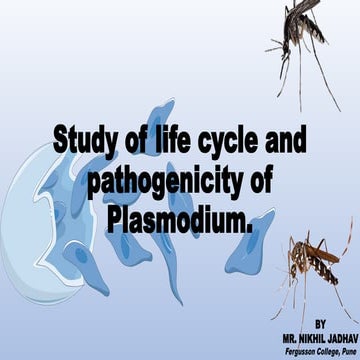 Study of life cycle and pathogenicity of Plasmodium.pptx