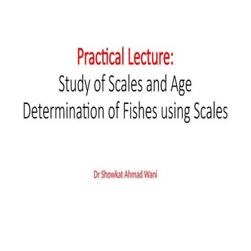 Study of Scales and Age Determination of Fishes using Scales[.pptx