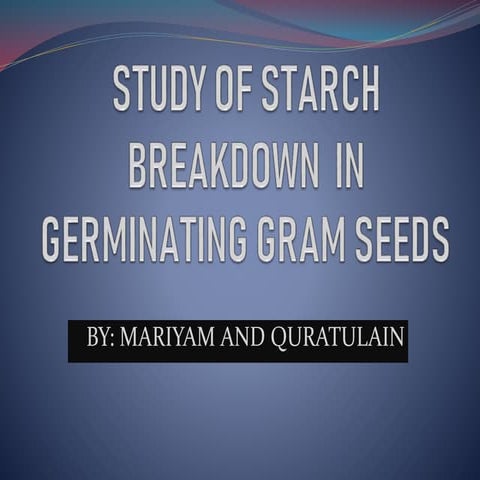 STUDY OF STARCH BREAKDOWN IN GERMINATING GRAM SEEDS.pptx