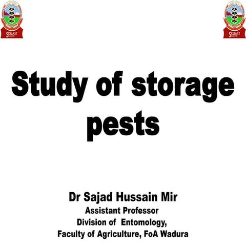 Study of Storage Pests and Their Management | PPTX