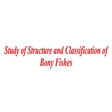 Study of Structure and Classification of Bony Fishes.pptx