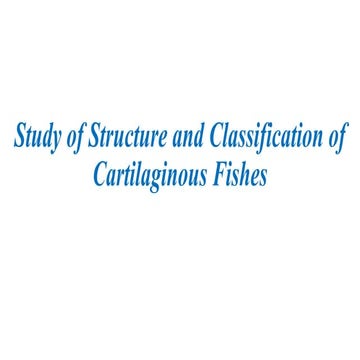 Study of Structure and Classification of Cartiliginous Fishes.pptx