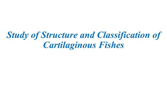 In short introduction of cartilagenous and bony fishes.pptx
