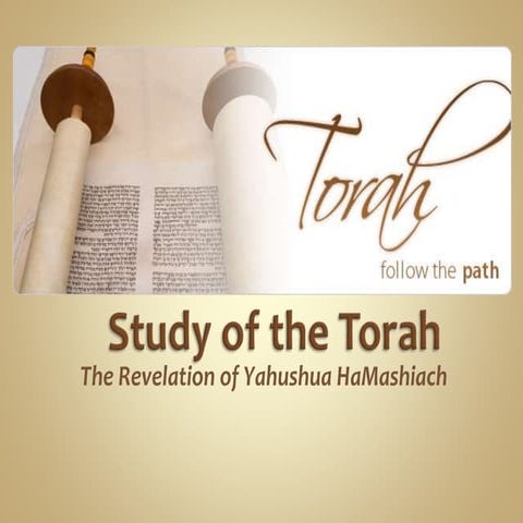 Study of the torah | PPTX