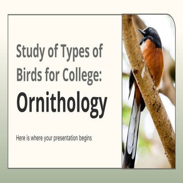 Study of Types of Birds for College_ Ornithology by Slidesgo.pptx