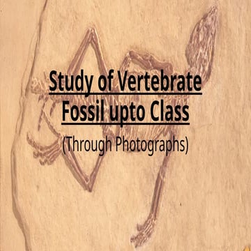 Study of Vertebrate Fossil upto Class.pptx