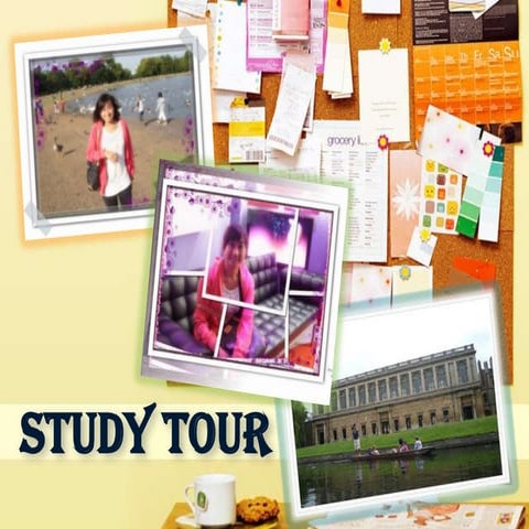 Study tour | PPT