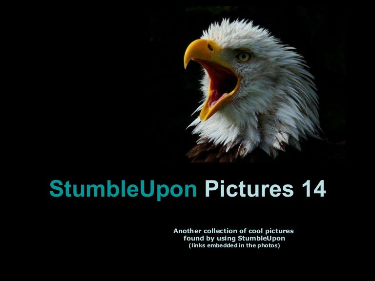 Stumble upon pictures 14