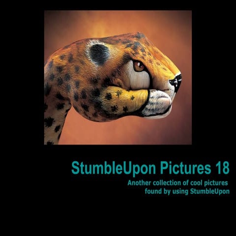 Stumble upon pictures 18 | PPT