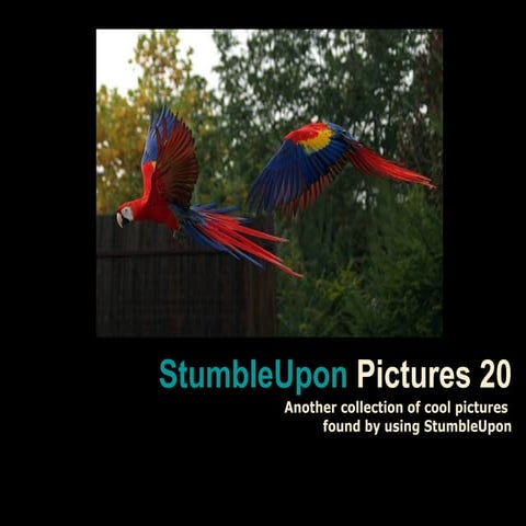 Stumble upon pictures 18 | PPT