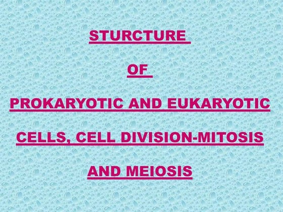 Lesson 3 Prokaryotic vs Eukaryotic Cell | PDF