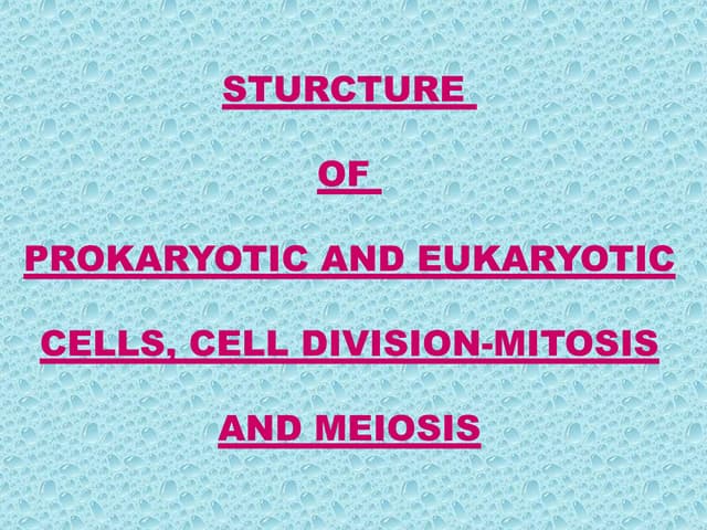 Lesson 3 Prokaryotic vs Eukaryotic Cell | PDF