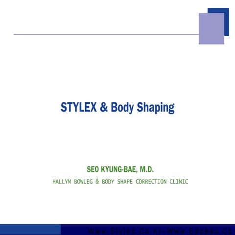Stylex(english) | PPT