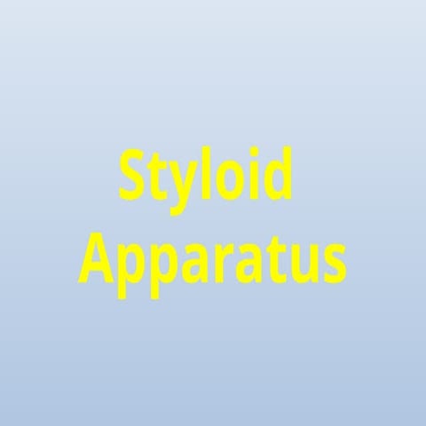 Styloid_Apparatus presentation anatomy . | PPTX