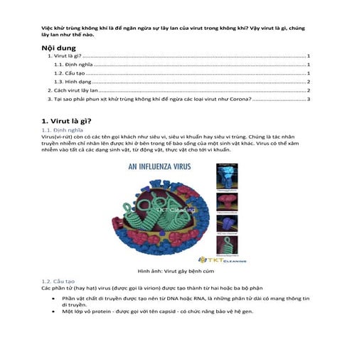 Virut lây nhiễm như thế nào? | PDF