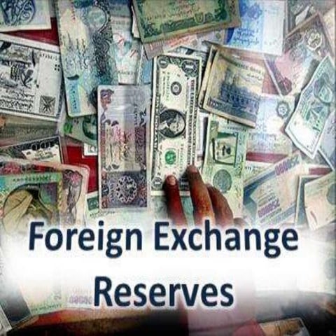 Importance of foregin Reserve to maintain stable foreign exchange rate | PPTX