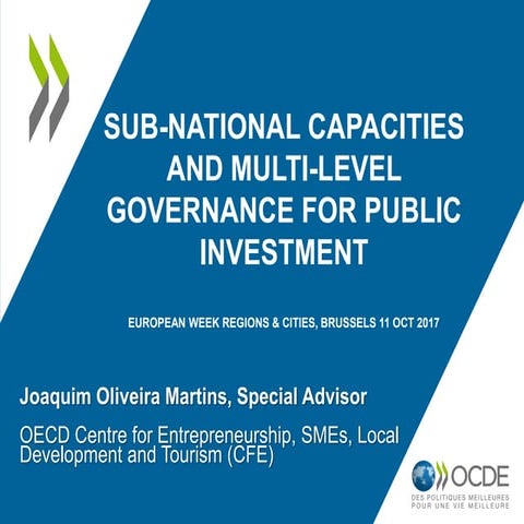 Subnational capacities and multi-level governance for public investment ...