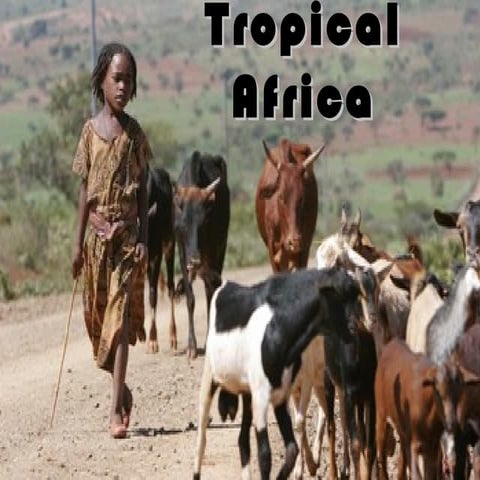 Sub Saharan Africa | PPT