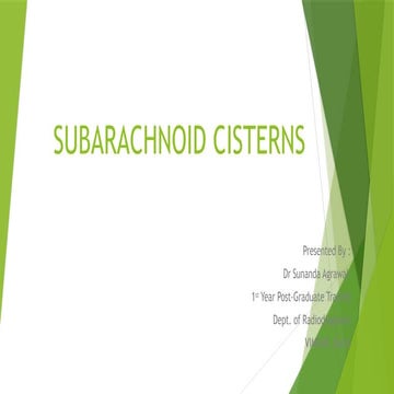 basal cisterns final.ppt