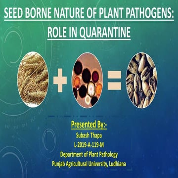 seed borne nature of plant pathogen | PPTX