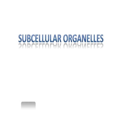 sub cellular organelles of cell.pptx | Biological Sciences | Science