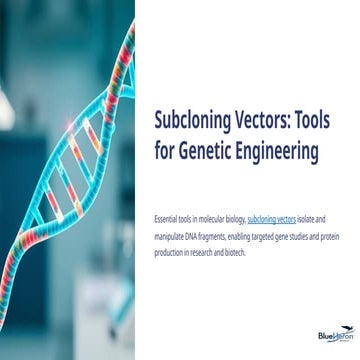 Subcloning-Vectors-Tools-for-Genetic-Engineering.pptx