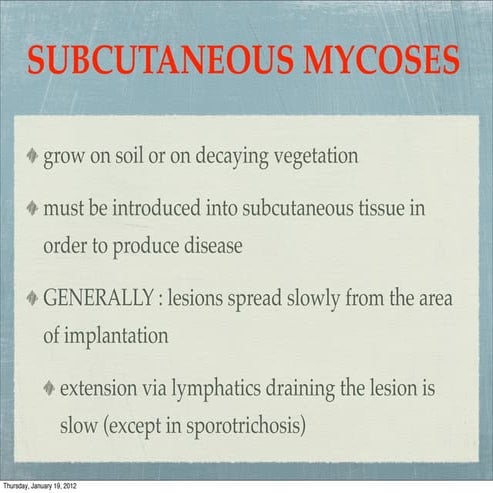 Subcutaneous mycoses | PDF | Skin and Dermatology | Diseases and Conditions