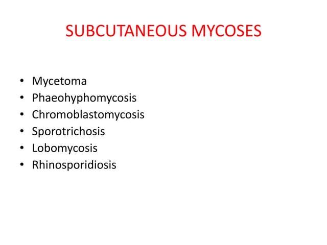 Immunoglobulins | PPT