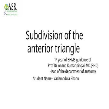 Subdivision of the anterior triangle.ppt.pptx