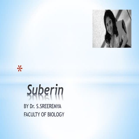 Suberin | PPTX
