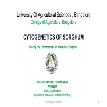 CYTOGENETICS OF SORGHUM- crop botany and details of individual ...