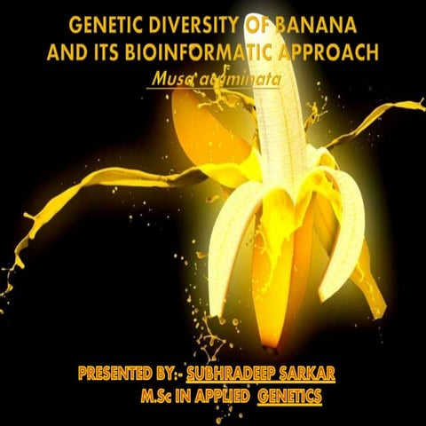 GENETIC DIVERSITY OF BANANA AND ITS BIOINFORMATIC APPROACH | PPTX