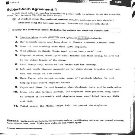 Subject verb pg 149 copy | PDF