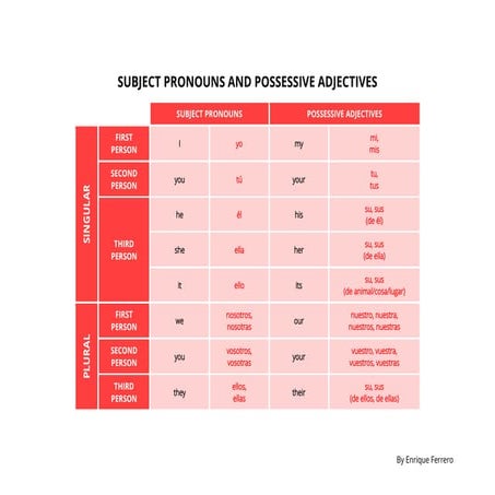 Possessive adjectives and saxon genitive - Activities | PDF