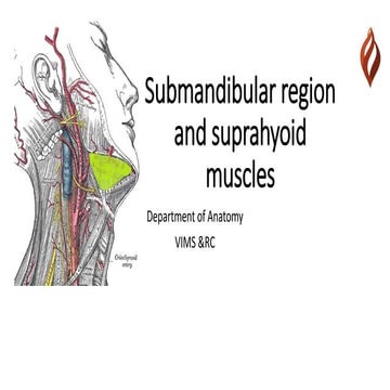 Submandibular region and suprahyoid muscles.pptx