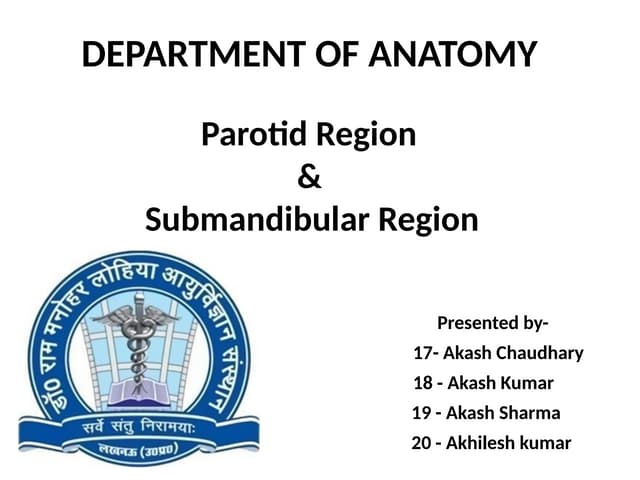 anatomy of submandibular region presentation | PPTX