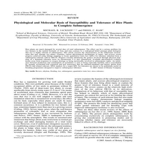 Submergence rice | PDF