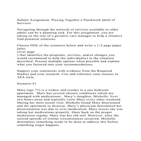 Submit Assignment Piecing Together a Patchwork Quilt of Services.docx
