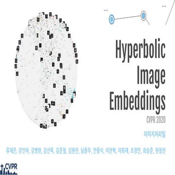 Hyperbolic Image Embeddingpptx 3 D Graphics Computer Software And